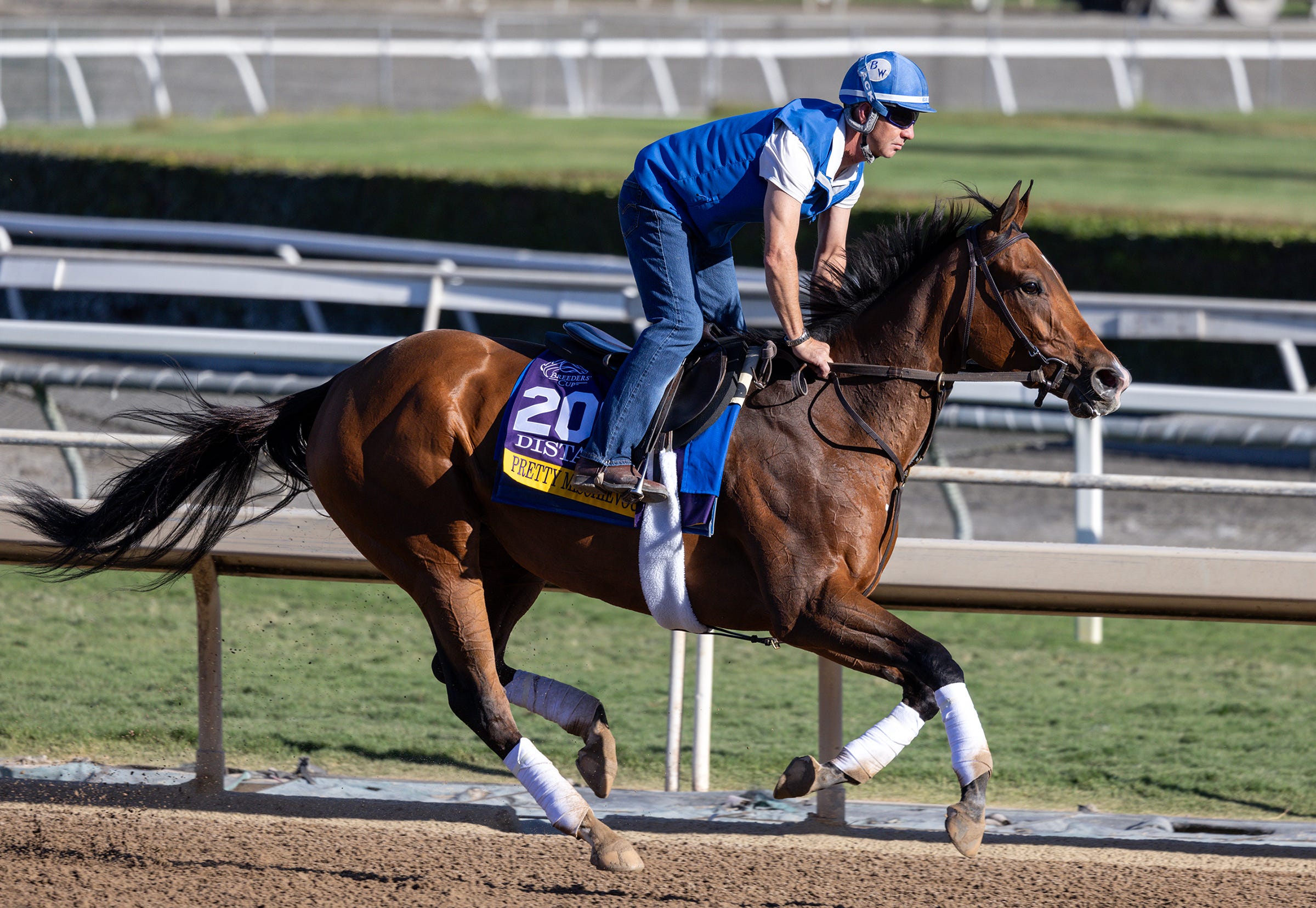 Eclipse winner Pretty Mischievous pointed at La Troienne for her return
